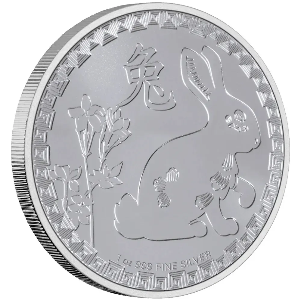 1oz Niue Year of the Rabbit Silver Coin (2023) – Buy Online NZ | MyGold
