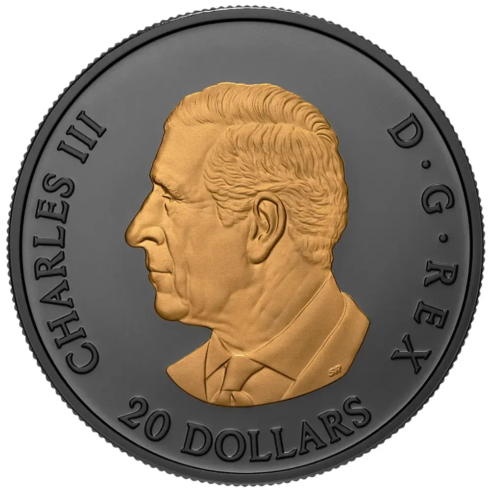 2025 Canada 1 oz Pure Silver Gilded Elegant Maple Proof Coin - MyGold