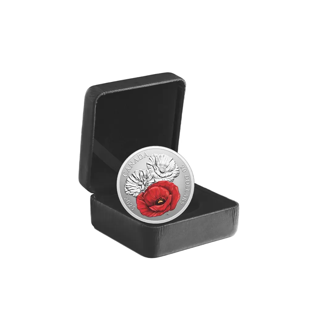 2025 Canada 1 oz Pure Silver The Remembrance Day Proof Coin - MyGold