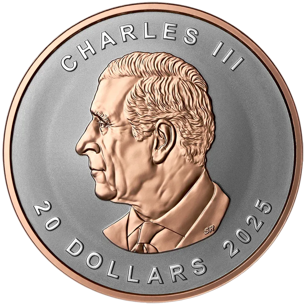 2025 Canada 1 oz Silver Maple Leaf Ultra-High Relief Coin – Buy Online ...