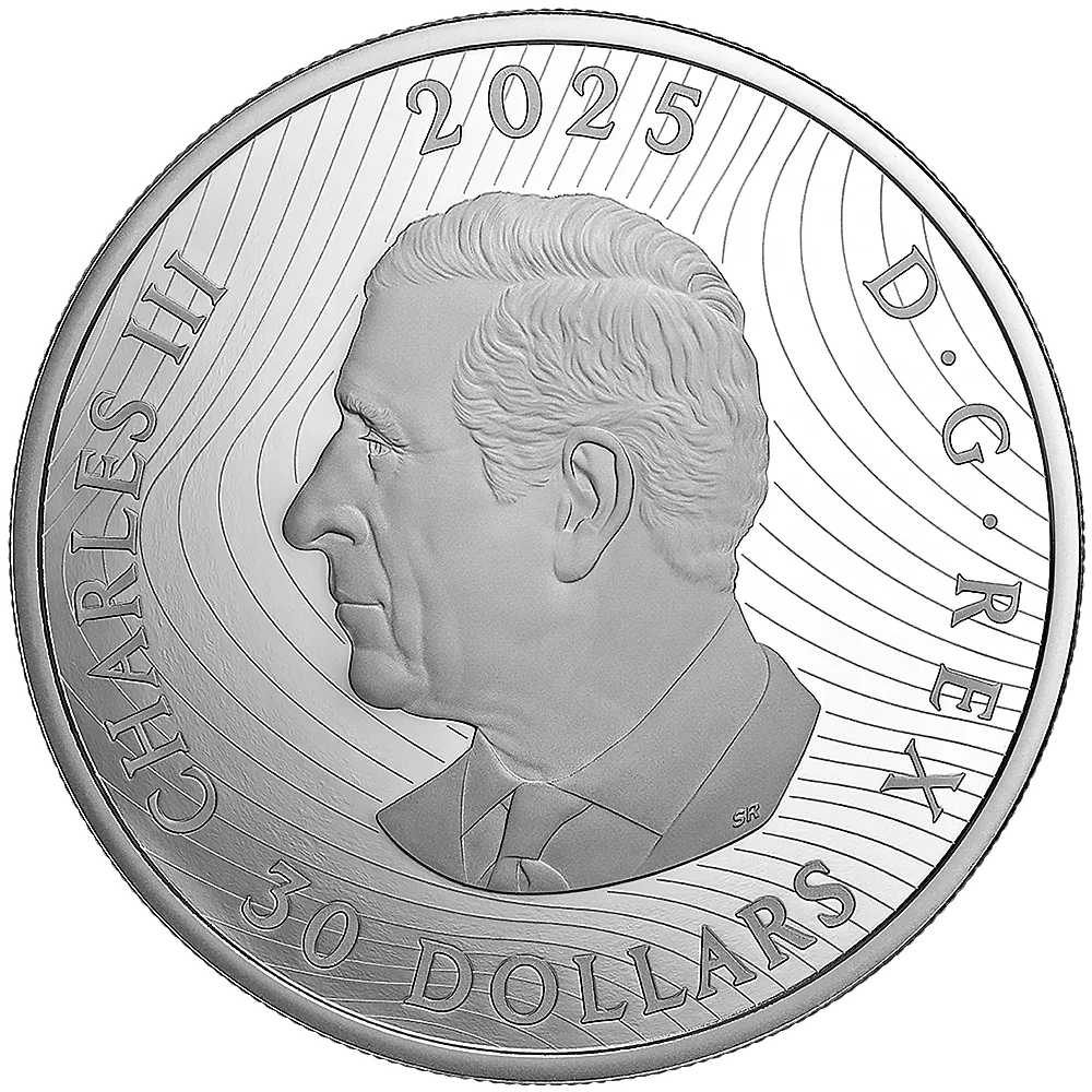 2025 Canada $30 2 oz .9999 Silver The Magic of The Northern Lights Coin ...
