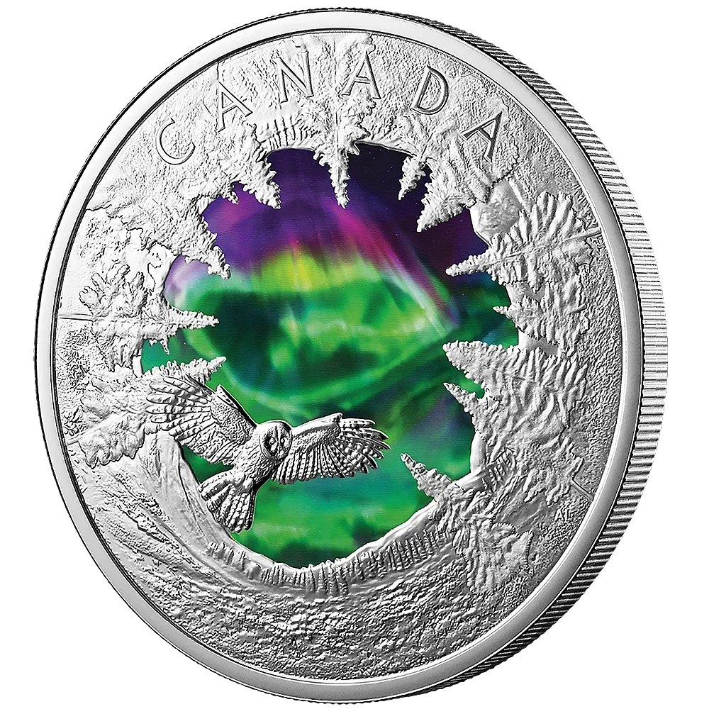 2025 Canada $30 2 oz .9999 Silver The Magic of The Northern Lights Coin ...