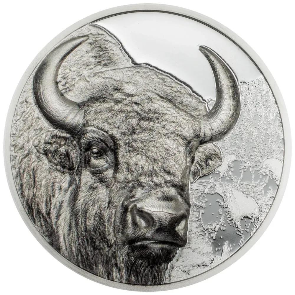 2025 Mongolia 1 oz Silver Wild Mongolia Bison Proof Coin - CIT - MyGold