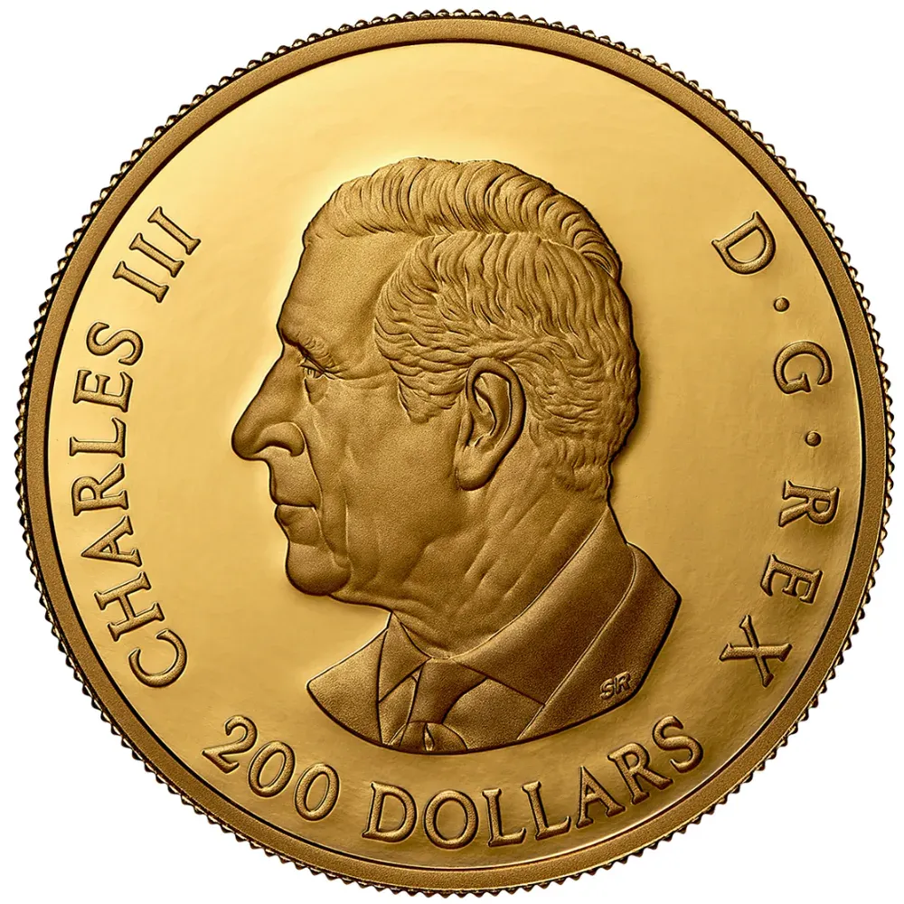 2026 Canada 1 oz $100 Pure Gold the Multifaceted Maple Leaves Proof ...